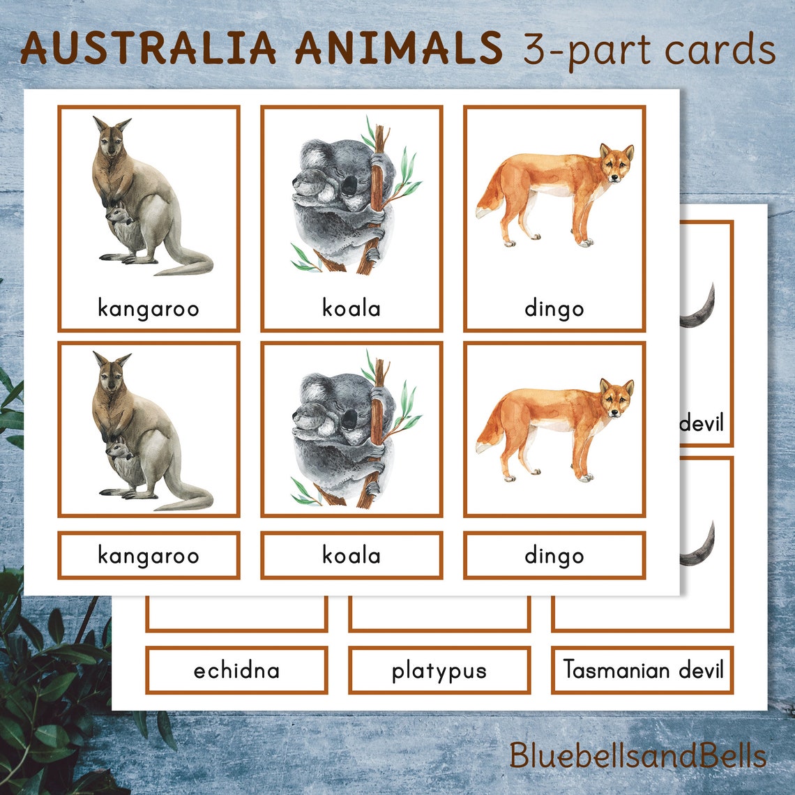 Australia Oceania Animals Montessori Printable 3 Part Cards. - Etsy
