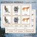 Australia Oceania Animals Montessori Printable 3 Part Cards. Vocabulary ...