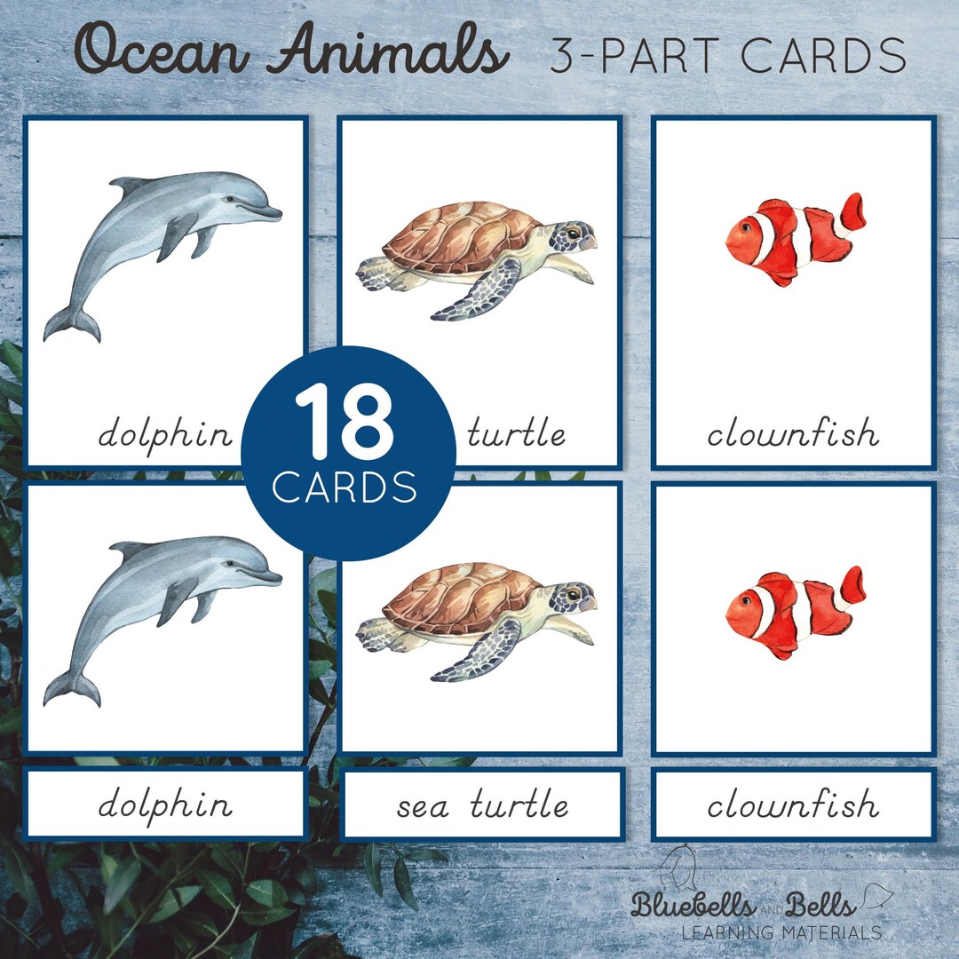 Ocean Montessori Printable 3 Part Cards. Preschool Vocabulary Cards ...