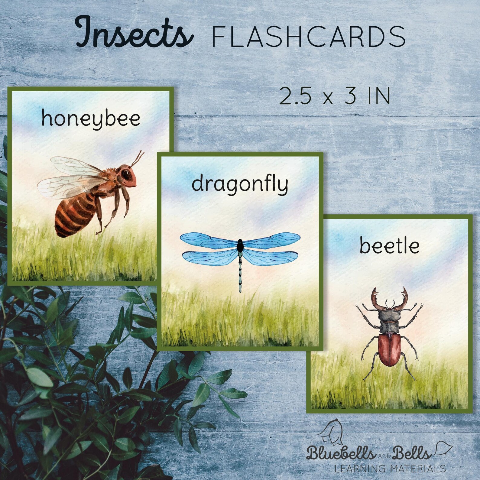 Insect Flashcards Mini. Watercolor Printable for Toddlers and Preschool ...