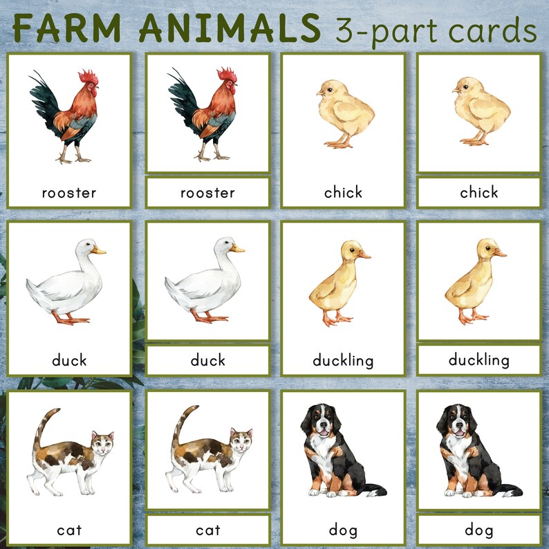 Farm Animal Montessori Printable 3 Part Cards. Preschool and - Etsy