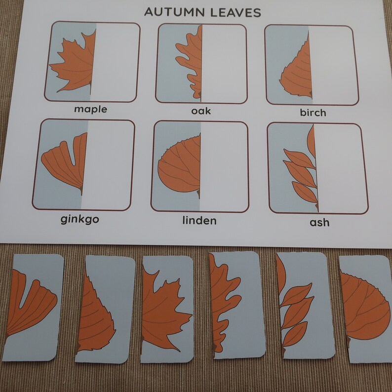 Montessori Puzzle Fall Leaves. Toddler Matching Halves Symmetry ...