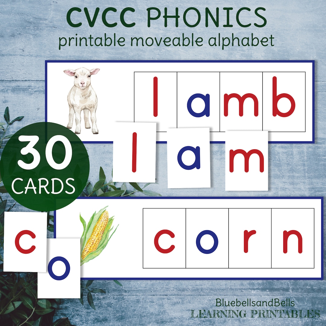 Montessori Printable Moveable Alphabet CVCC Matching Cards. Blends and ...