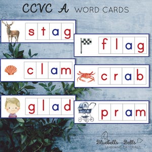 Montessori Printable Moveable Alphabet and CCVC Word Letter Matching ...