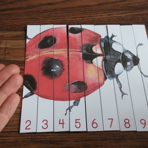 Insect Preschool Printable Number Sequence Puzzles 1-10. Montessori ...