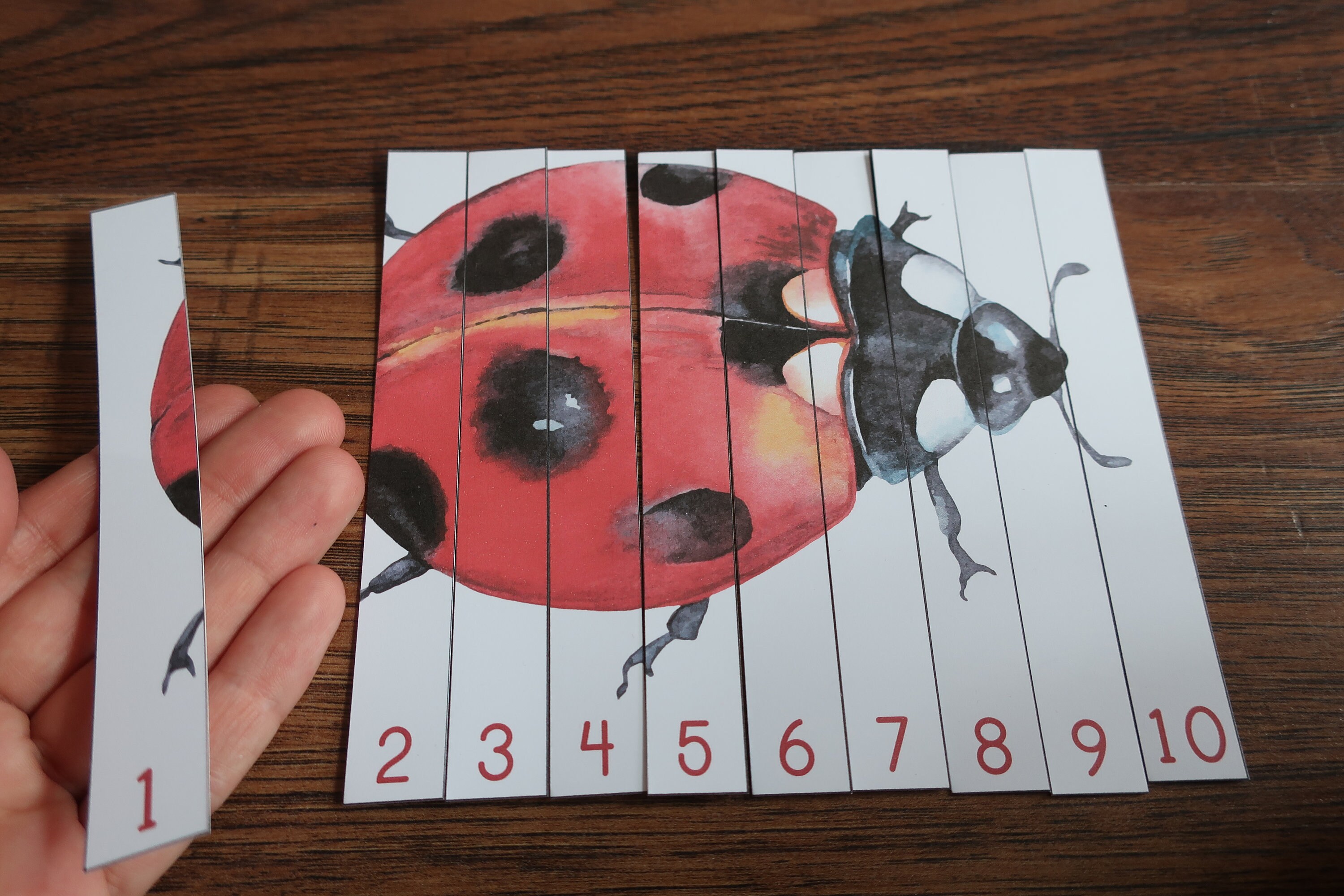 Insect Preschool Printable Number Sequence Puzzles 1-10. Montessori ...