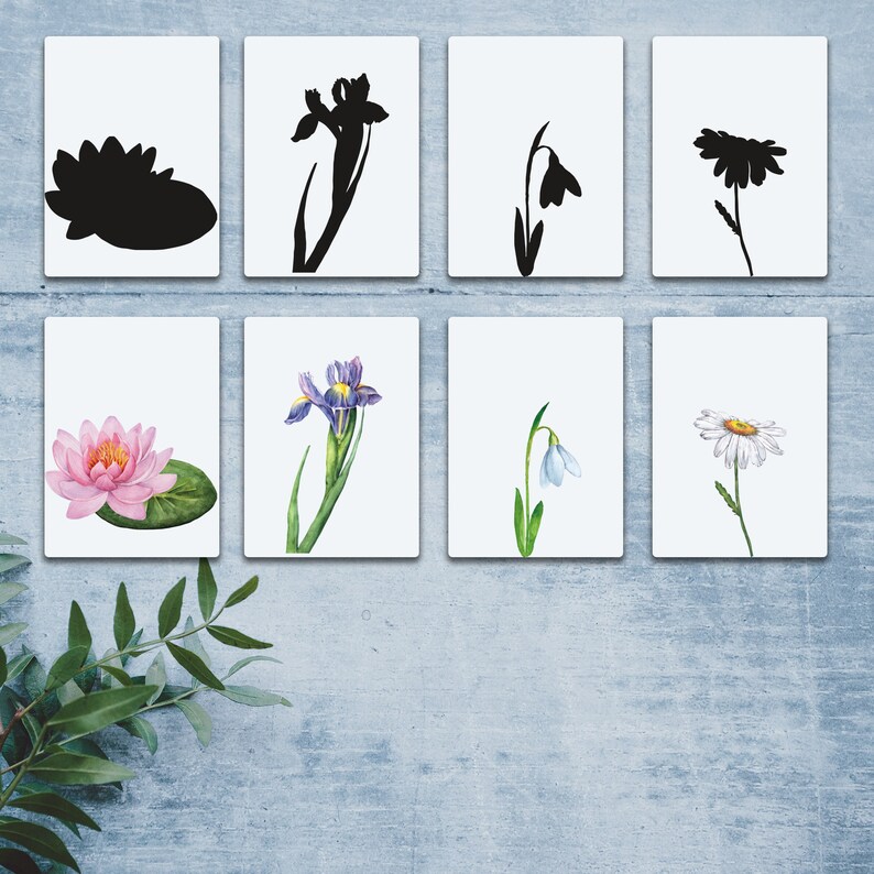 Flower Printable Shadow Matching Cards. Montessori Spring - Etsy