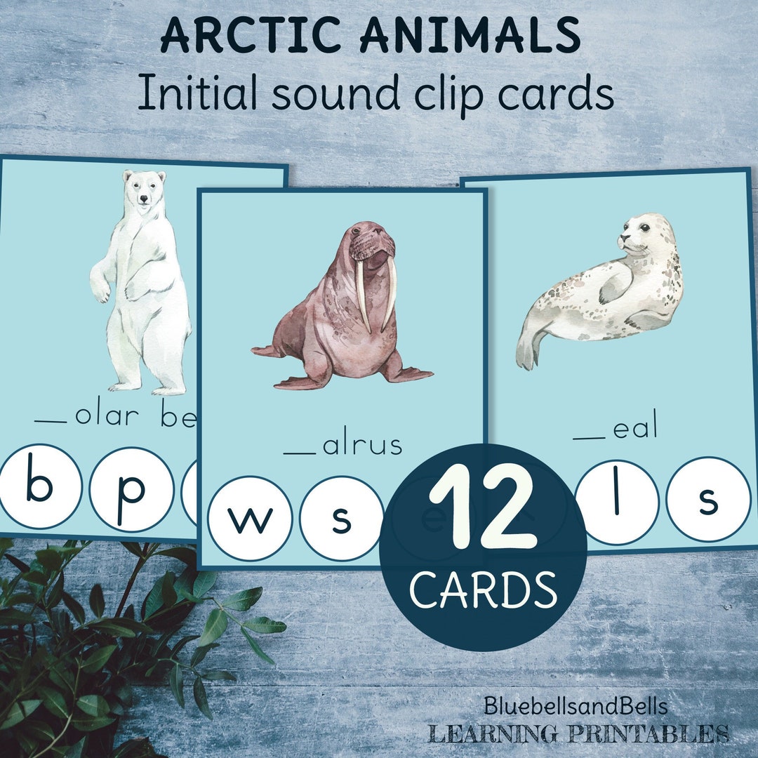 Arctic Animals Preschool Printable Beginning Sound Clip Cards. - Etsy