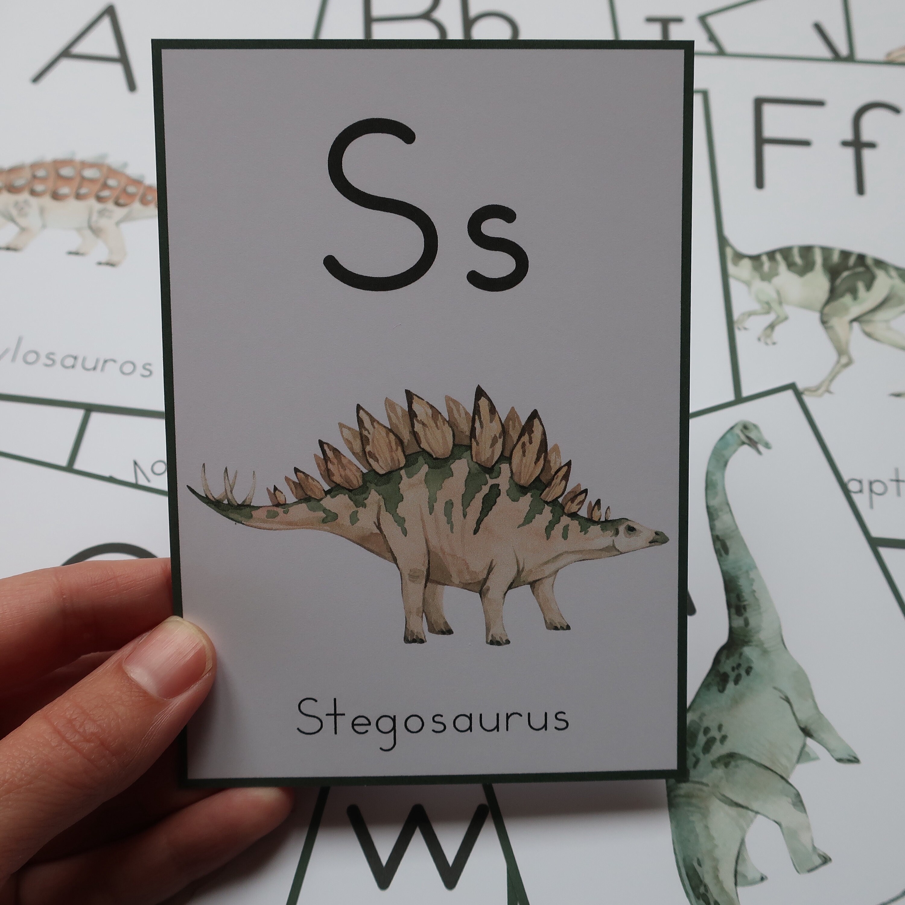Dinosaur Alphabet Flashcards. Watercolor Letter Cards. Kids | Etsy UK