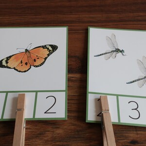 Insect Count and Clip Cards 1-10. Montessori Summer Math Printable ...