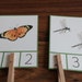 Insect Count and Clip Cards 1-10. Montessori Summer Math - Etsy