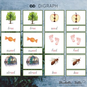 Vowel Digraphs 3-part Cards. Green Series Printable. - Etsy