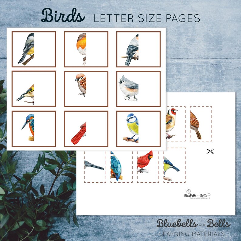 Toddler Puzzle Birds Halves Matching. Montessori Spring Printable Busy ...