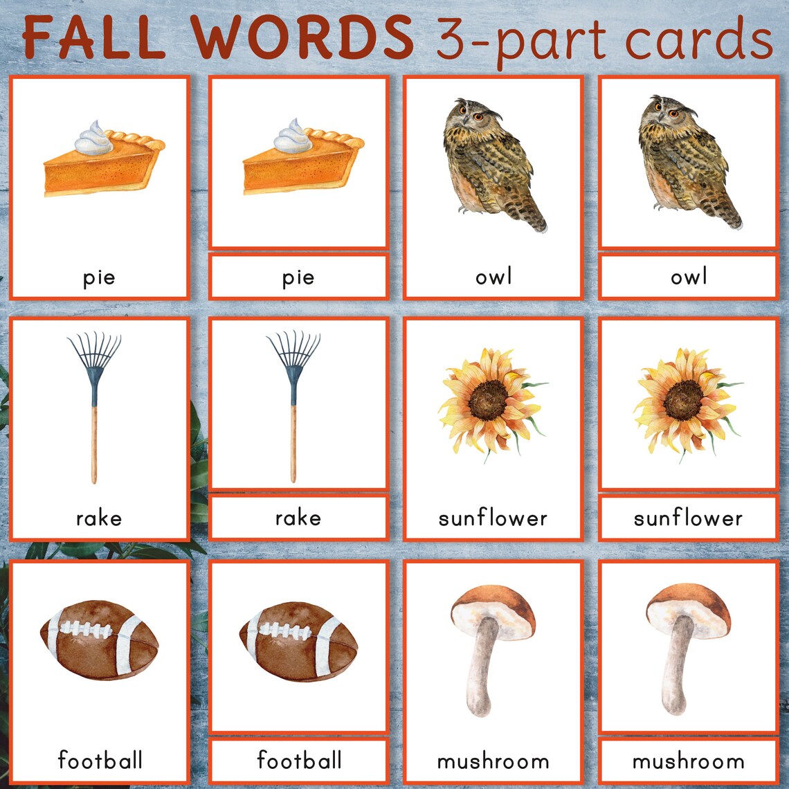 Fall Montessori Printable 3 Part Cards. Autumn Vocabulary for - Etsy