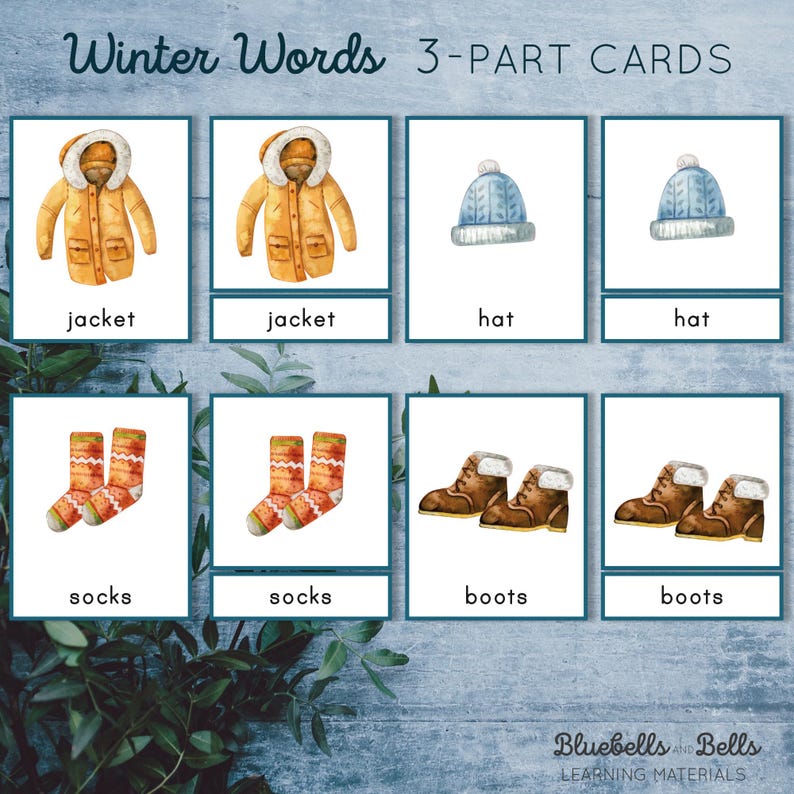 Winter Montessori Printable Vocabulary 3 Part Cards. Preschool and ...