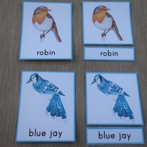 Birds Montessori Printable 3-part Cards. Spring Vocabulary Activity for ...