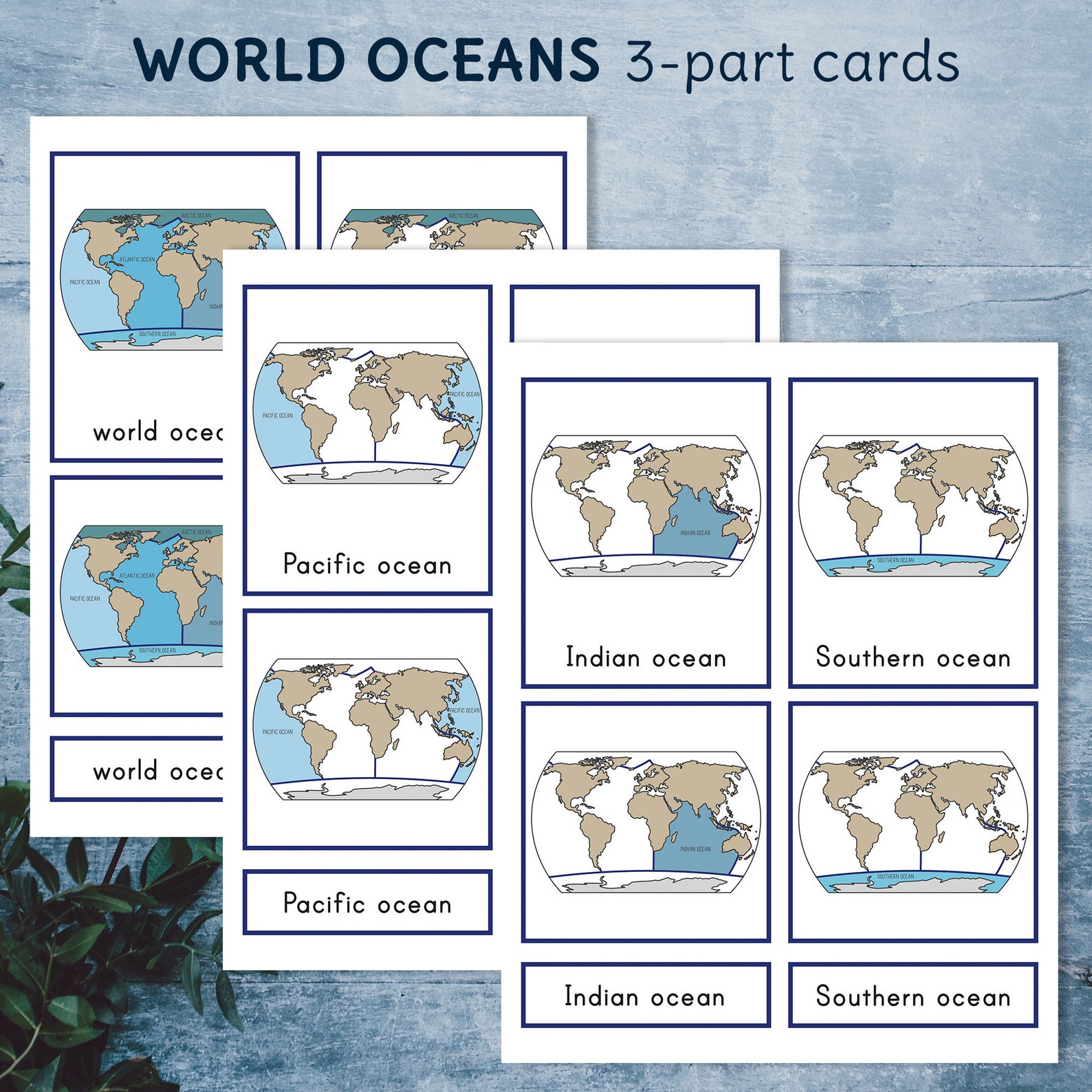 Oceans of the World 3 Part Cards. Montessori Geography - Etsy