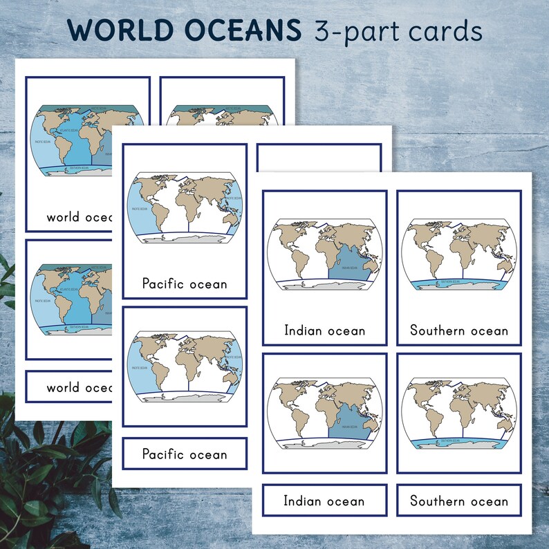 Oceans of the World 3 Part Cards. Montessori Geography - Etsy