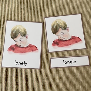 Emotions 3-part Cards. Montessori Printable Feelings Vocabulary ...