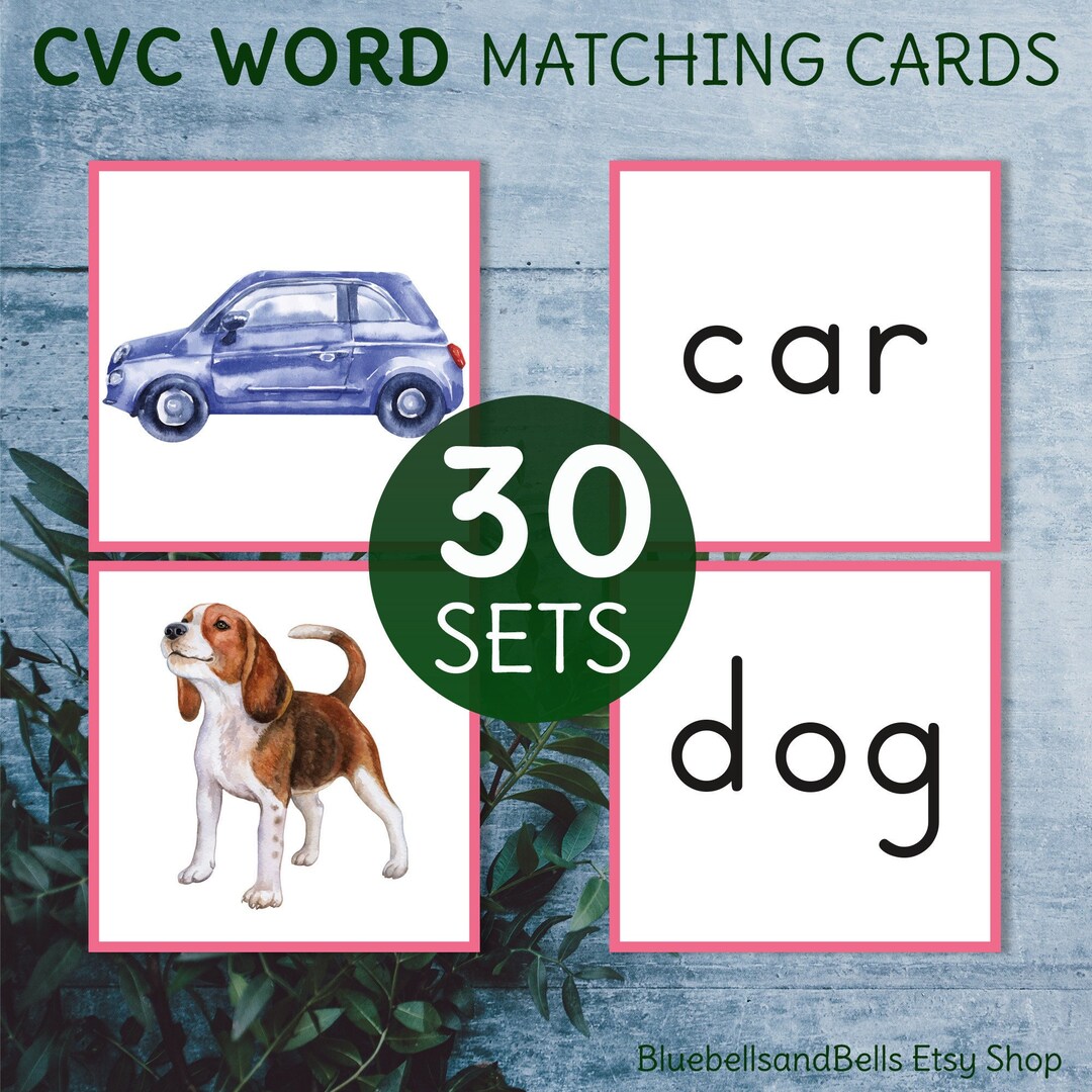 Montessori Printable CVC Word and Picture Matching Activity. Pink ...