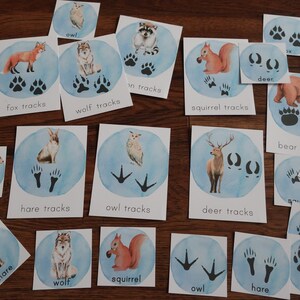 Winter Woodland Animal Tracks Flashcards. Montessori Winter Printable ...