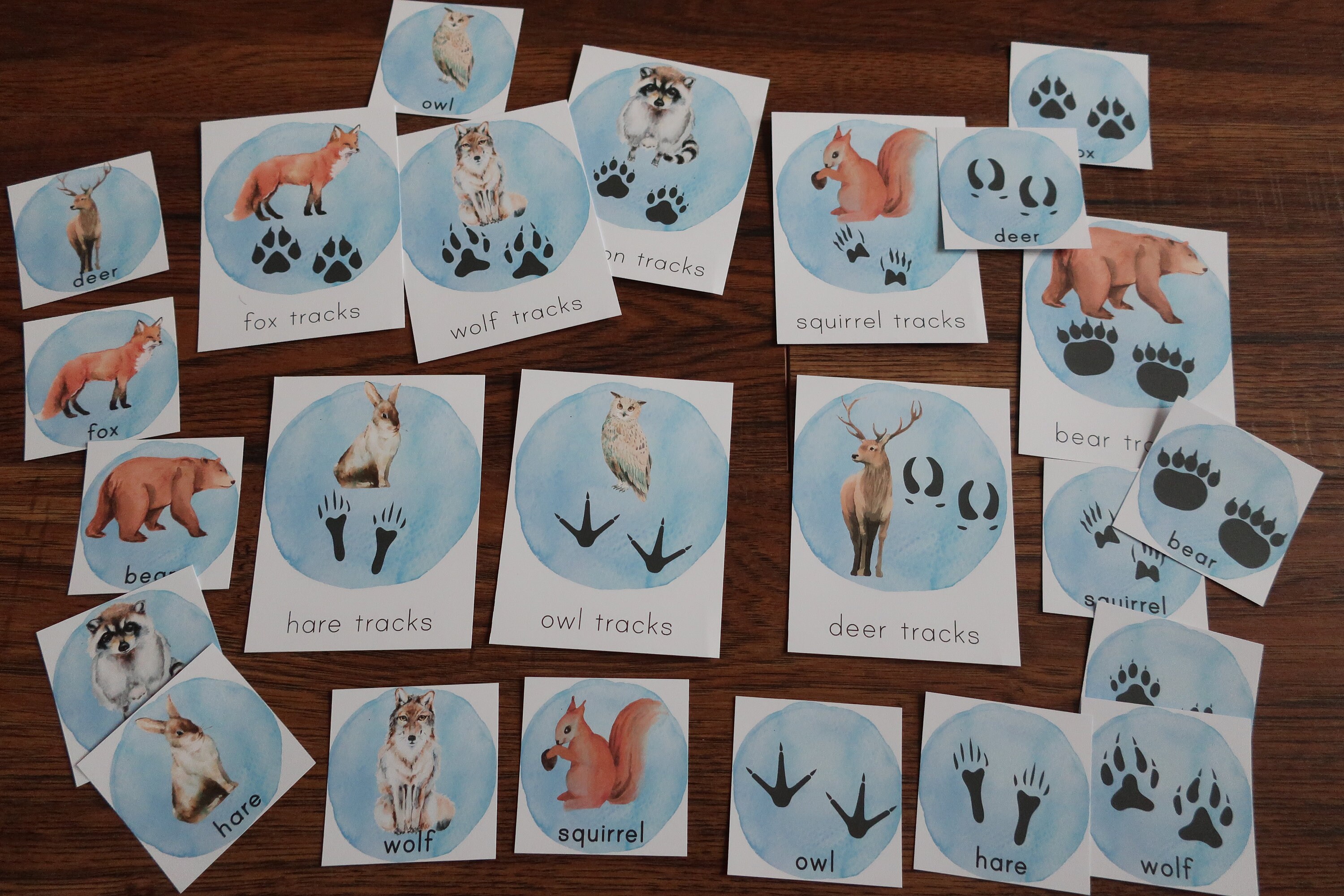 Winter Woodland Animal Tracks Flashcards. Montessori Winter - Etsy UK