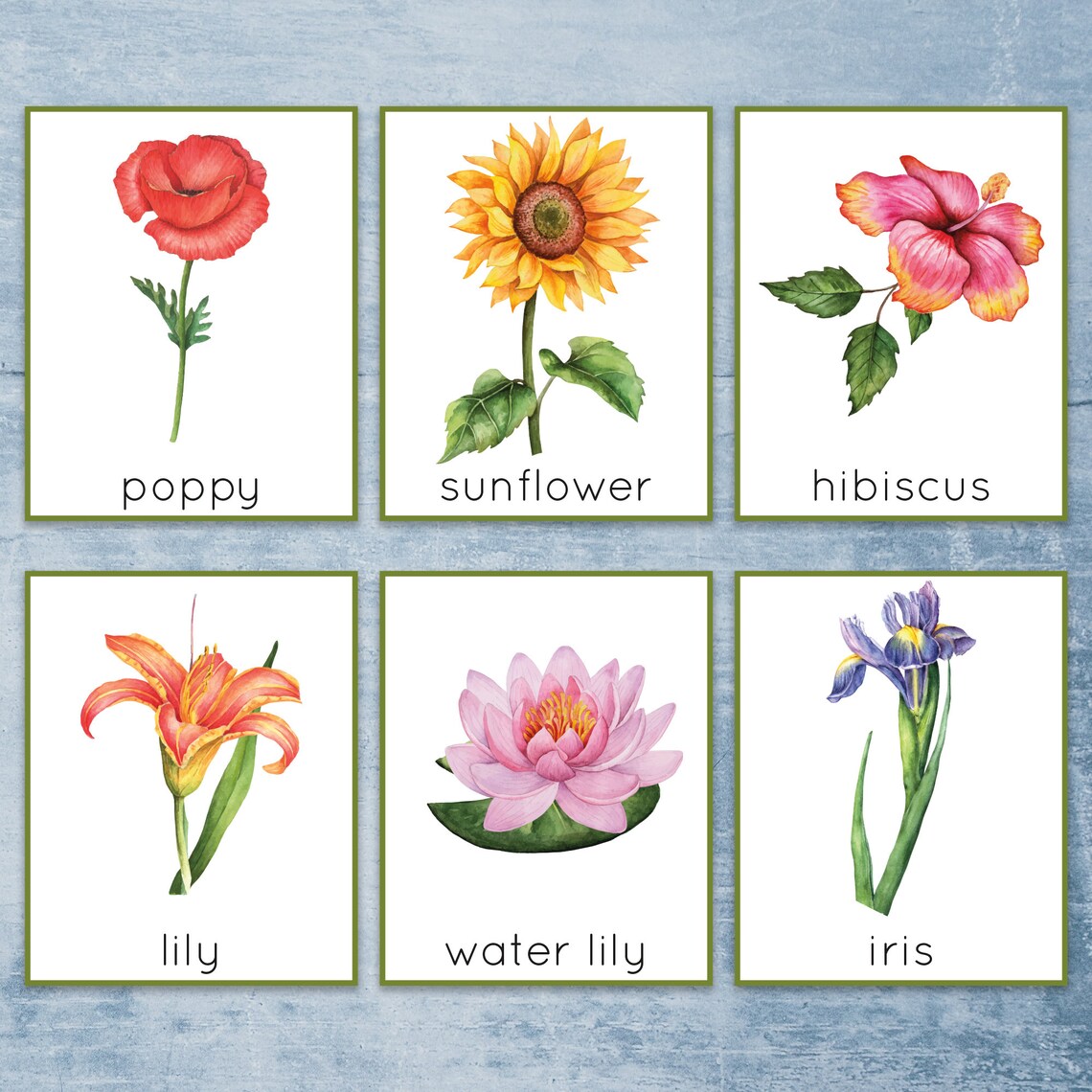 Flower Identification Printable Cards and Poster. Montessori - Etsy