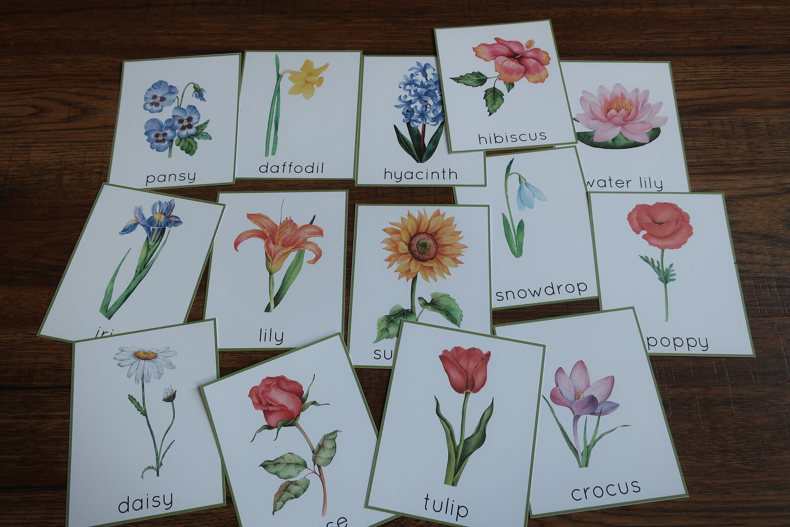 Flower Identification Printable Cards and Poster. Montessori - Etsy