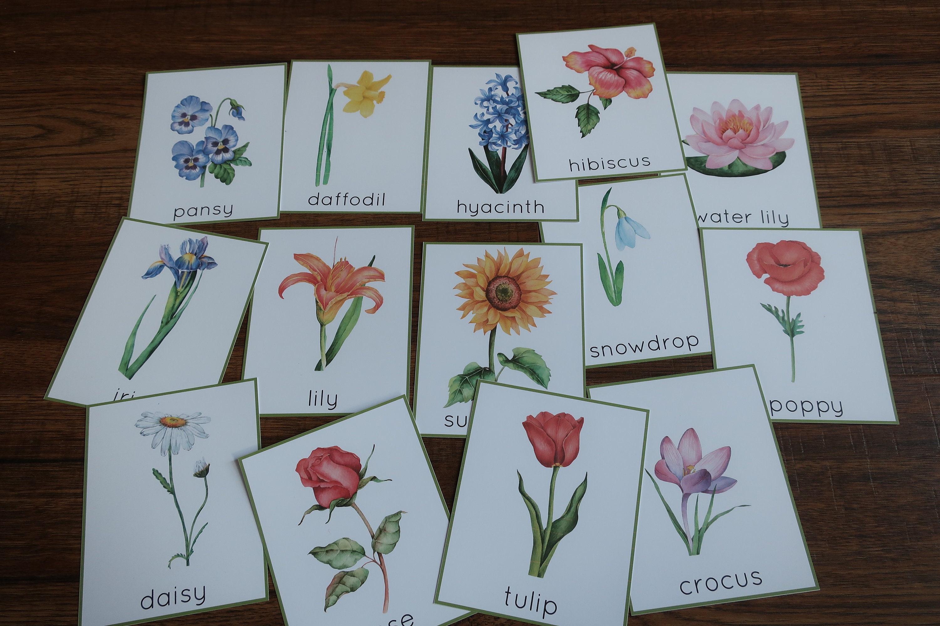 Flower Identification Printable Cards and Poster. Montessori - Etsy