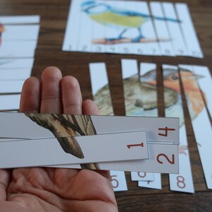 Bird Preschool Printable Number Sequence Puzzles 1-10. Montessori ...