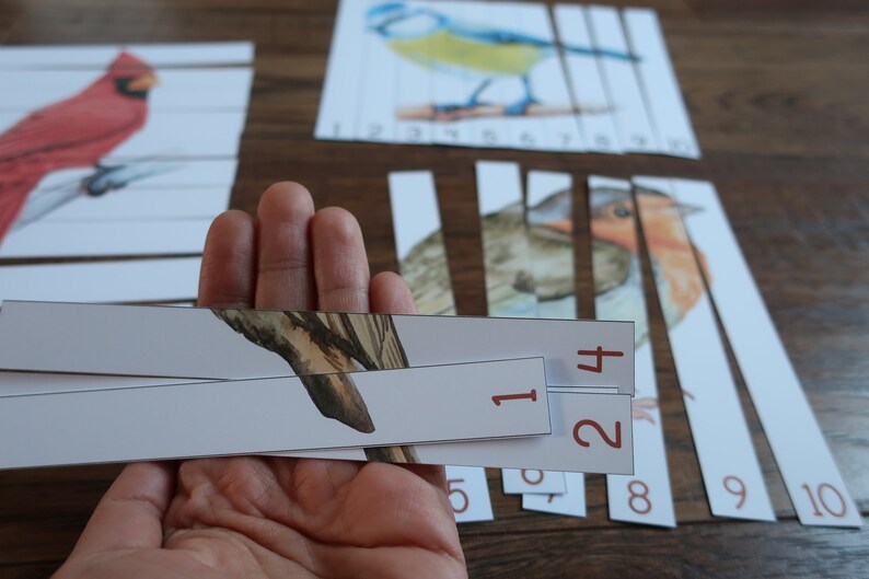 Bird Preschool Printable Number Sequence Puzzles 1-10. Montessori ...