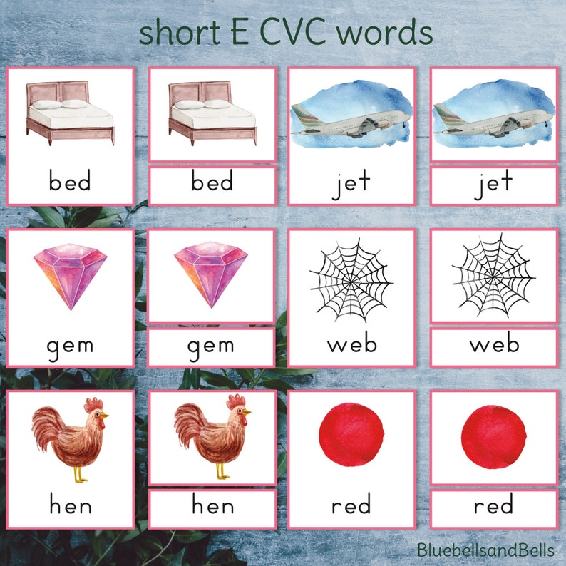 Montessori Printable CVC Phonics 3-part Cards. CVC Words | Etsy