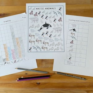 Montessori Arctic Animals Graphing Activity. Preschool Math Printable ...