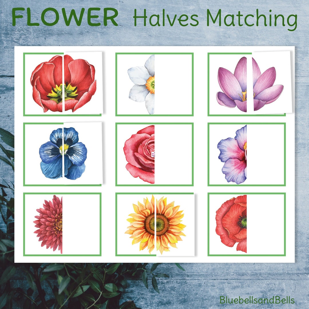 Montessori Spring Flower Puzzle. Toddler Matching Halves Activity ...