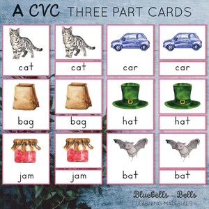 Montessori Printable CVC Phonics 3-part Cards. CVC Words Reading ...