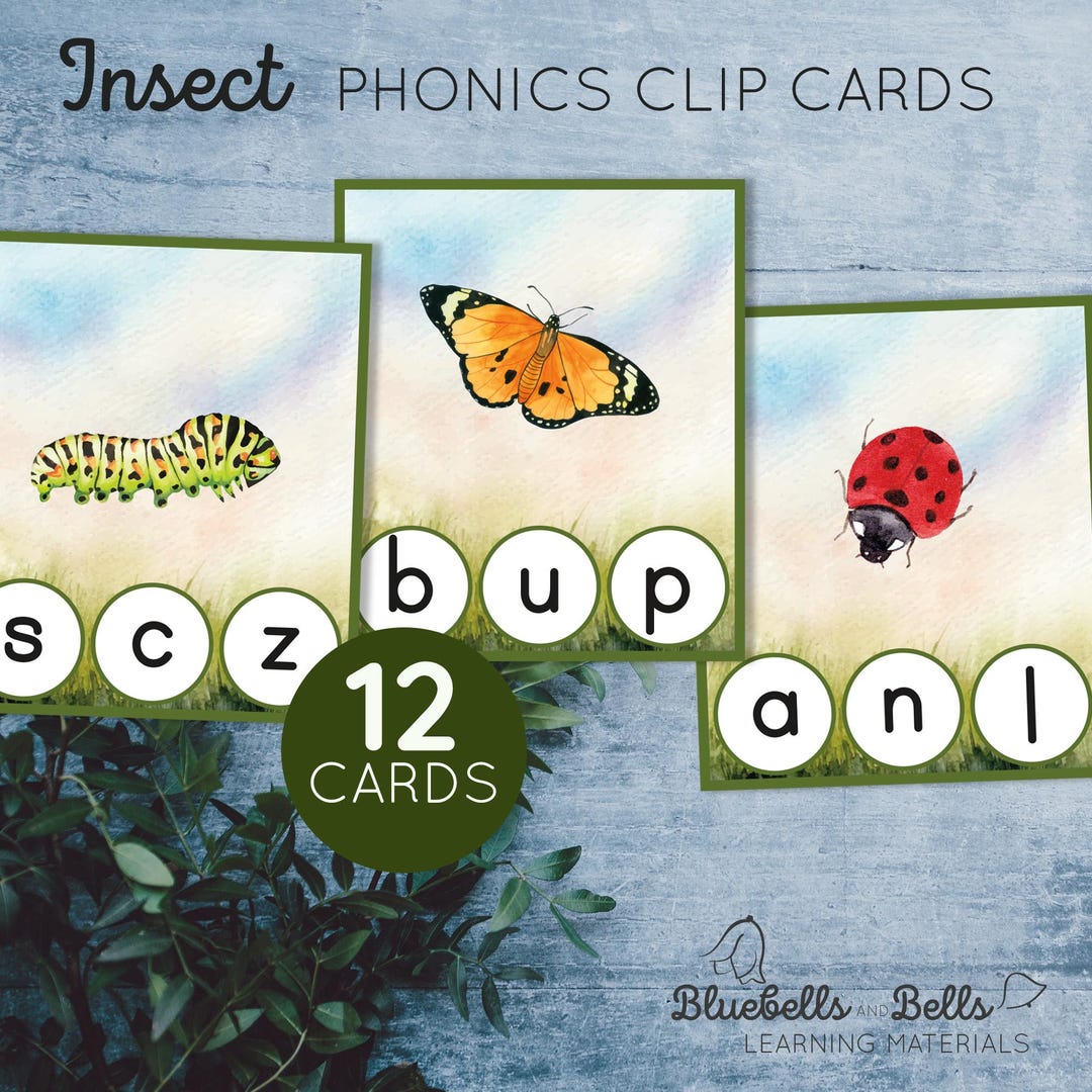 Insects Beginning Sound Clip Cards. Phonics Preschool and Kindergarten ...