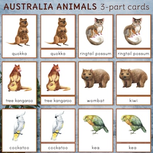 Australia Oceania Animals Montessori Printable 3 Part Cards. Vocabulary ...