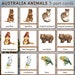 Australia Oceania Animals Montessori Printable 3 Part Cards. Vocabulary ...