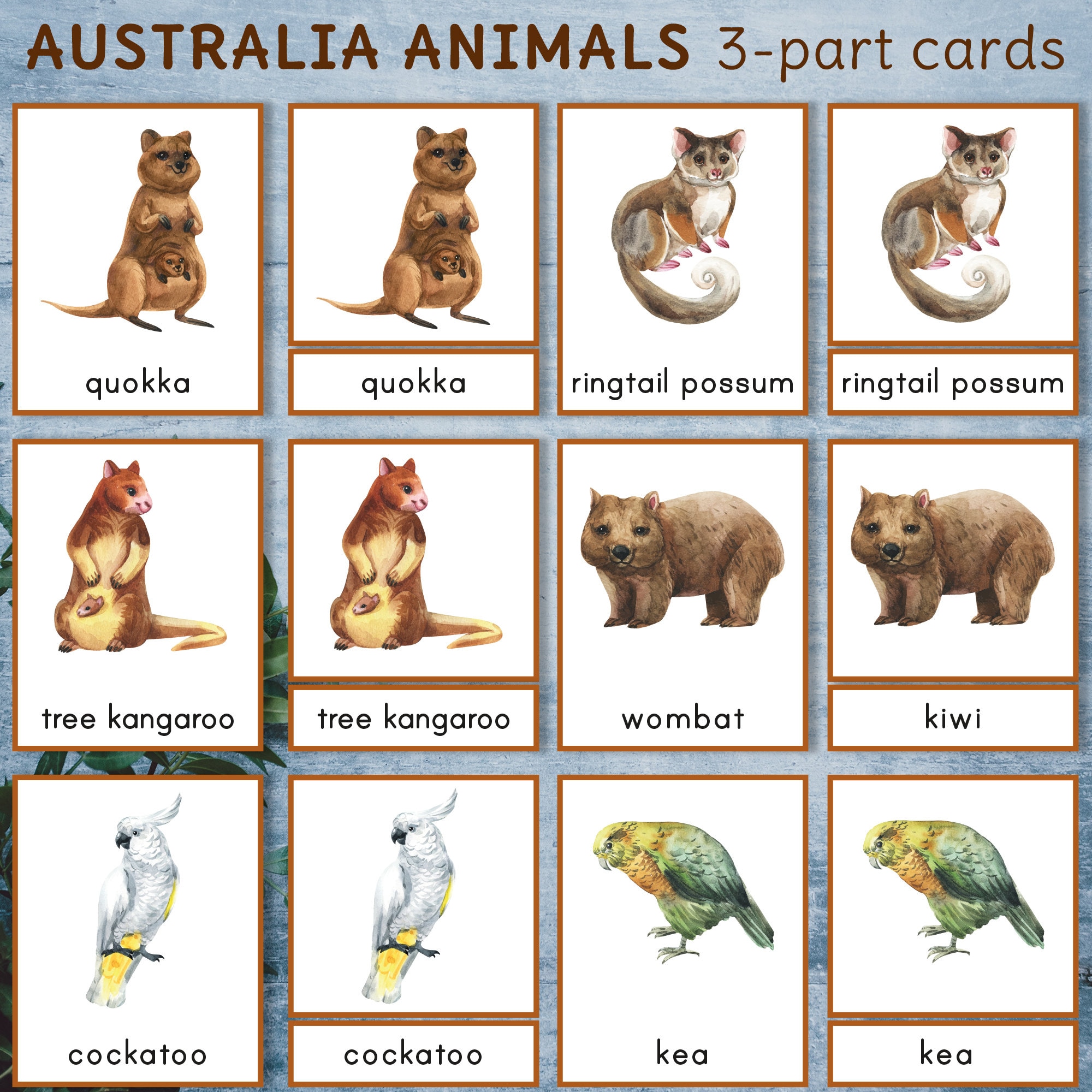 Australia Oceania Animals Montessori Printable 3 Part Cards. - Etsy