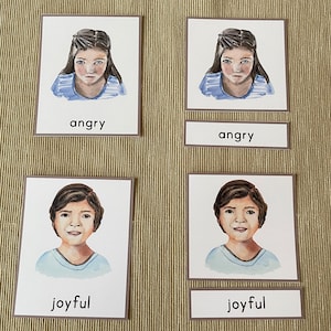 Emotions 3-part Cards. Montessori Printable Feelings Vocabulary ...