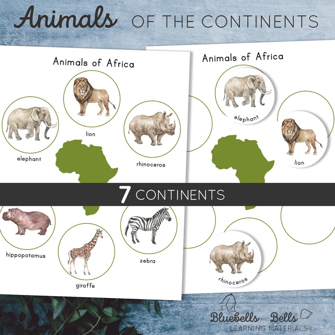 Animals of the Continents Posters and Sorting Activity. Montessori ...