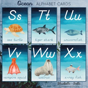 Ocean Alphabet Cards. Sea Animals Letter Cards. - Etsy