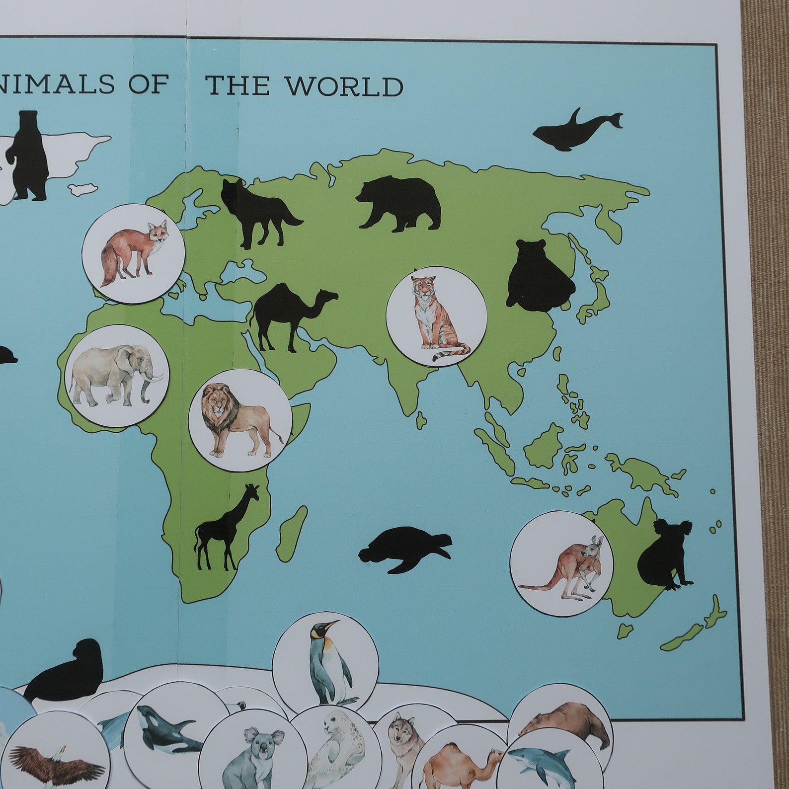 Animals of the Continents Shadow Matching Activity. Montessori | Etsy