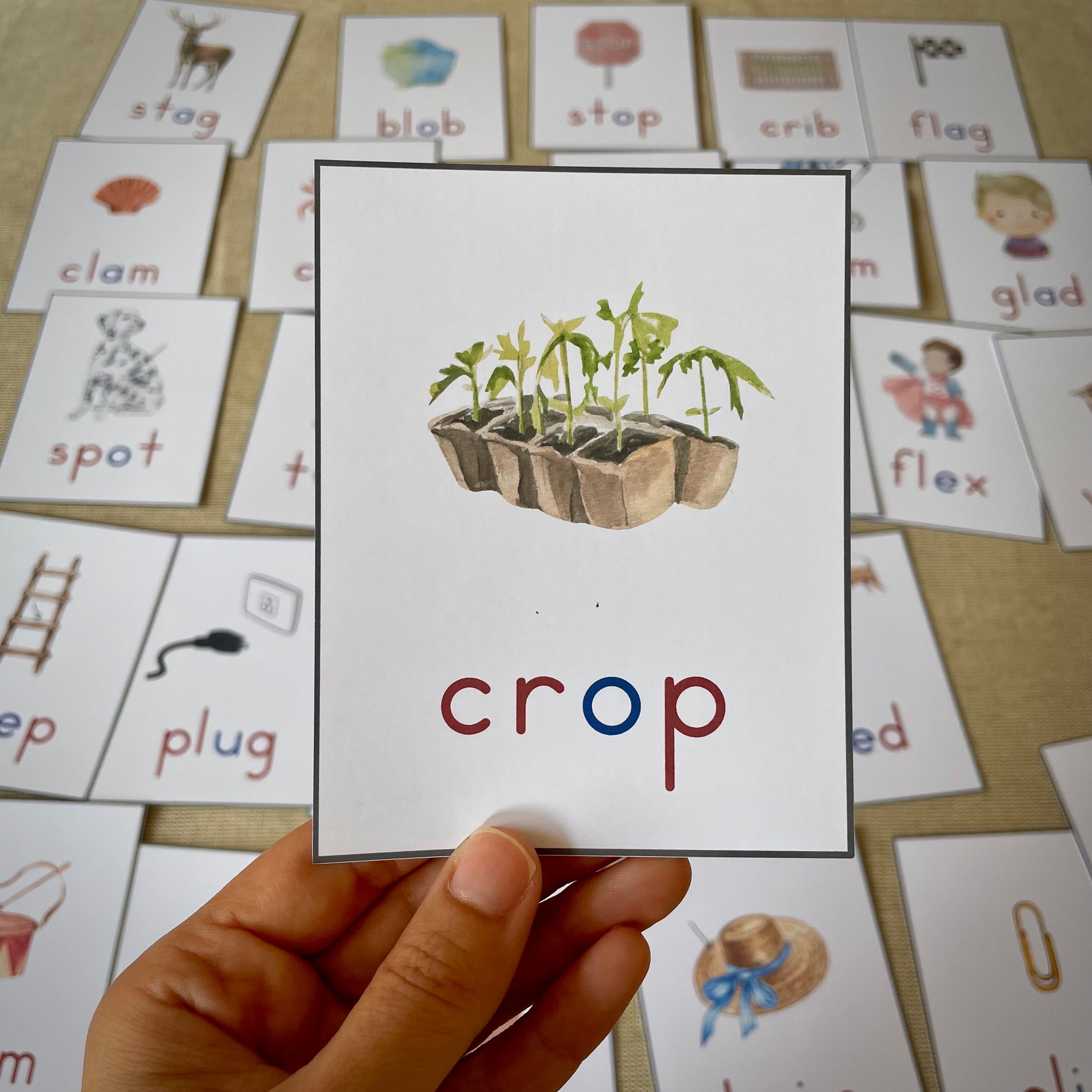 Blends Flashcards. Beginning Blend Printable. CCVC Words Preschool and ...