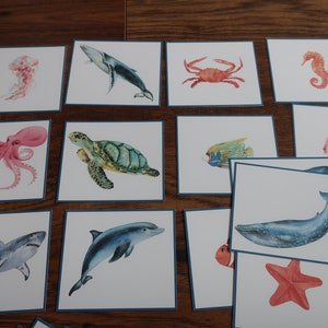 Ocean Animal Shadow Matching Cards. Montessori Summer Preschool ...