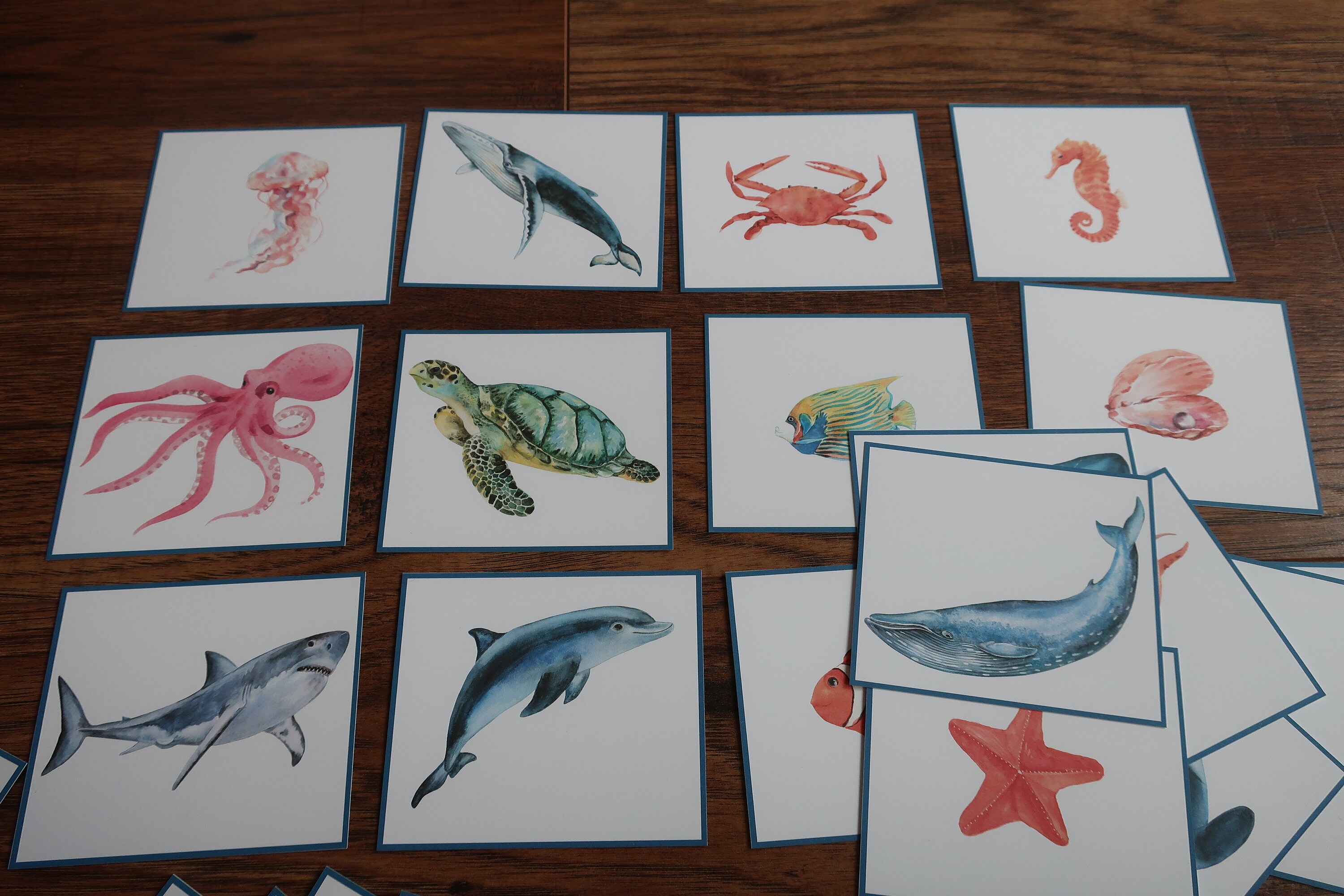 Ocean animal shadow matching cards. Montessori summer | Etsy