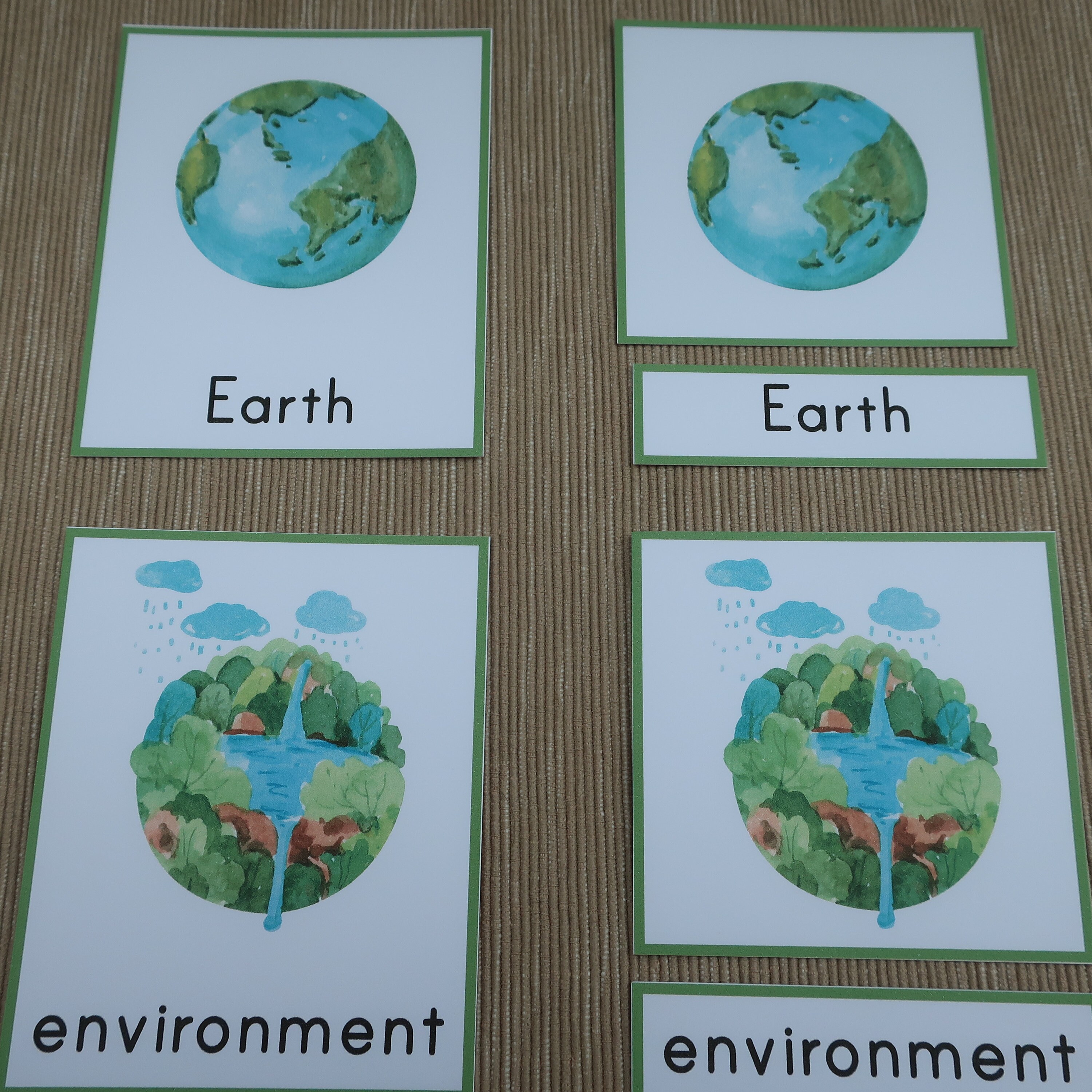 Earth Day Montessori 3 Part Cards. Ecology Vocabulary Cards. - Etsy