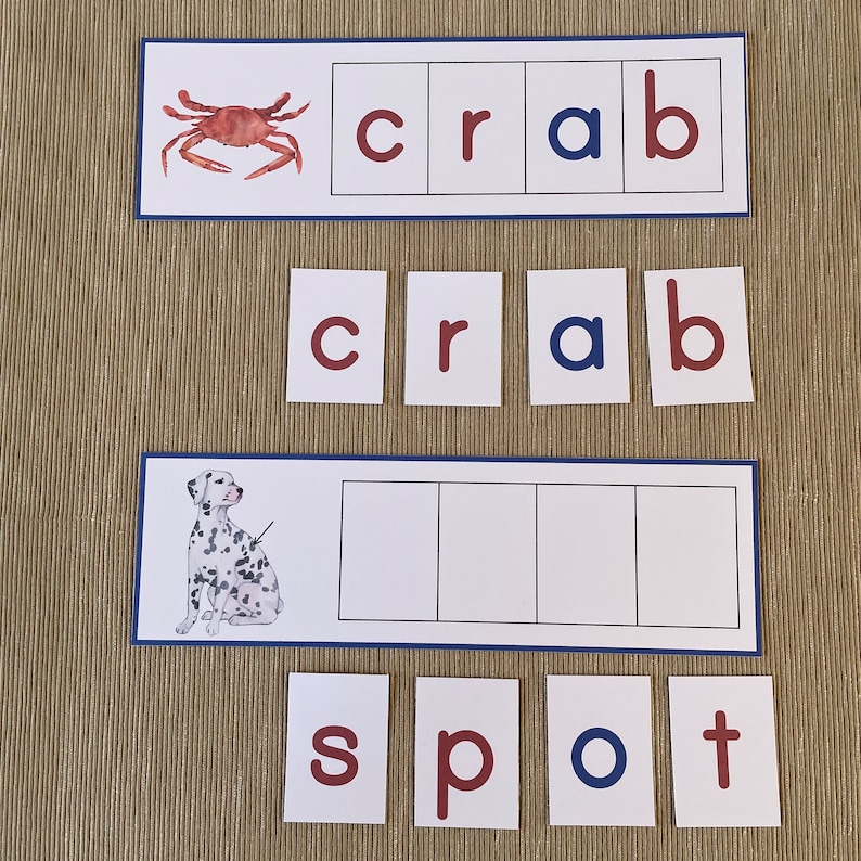 Montessori Printable Moveable Alphabet and CCVC Word Letter Matching ...