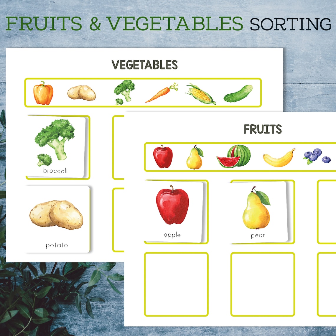 Fruit and Vegetable Sorting Activity for Toddlers. Preschool | Etsy
