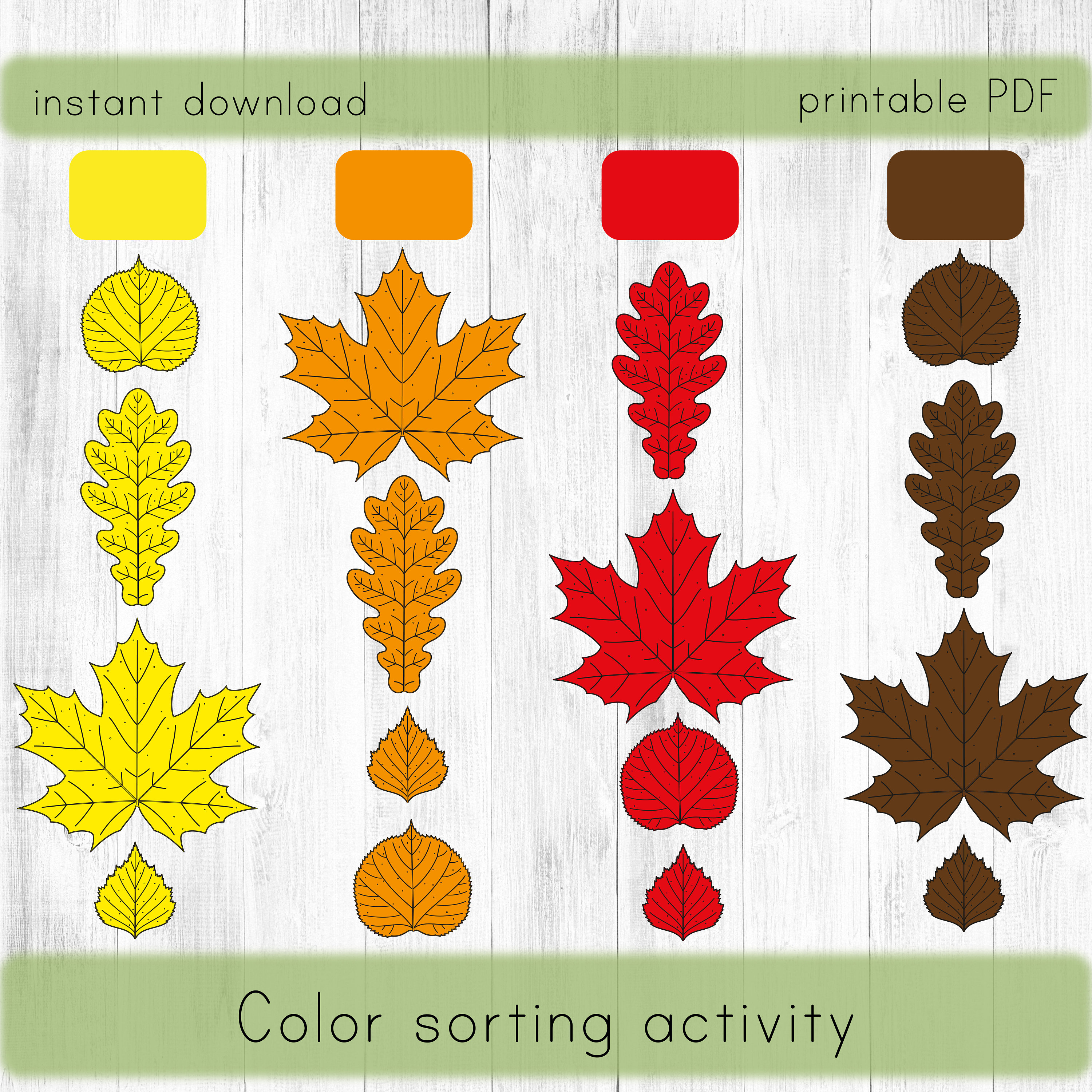 Fall leaves color matching activity. Montessori fall | Etsy